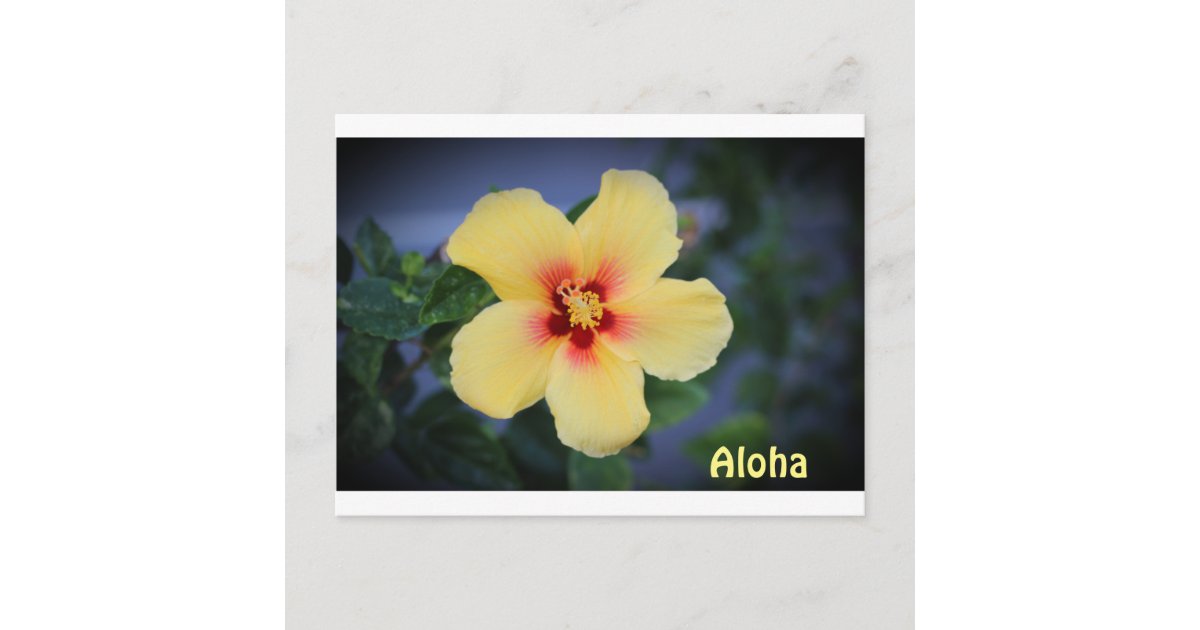 hawaii post card with the hawaii state flower. | Zazzle