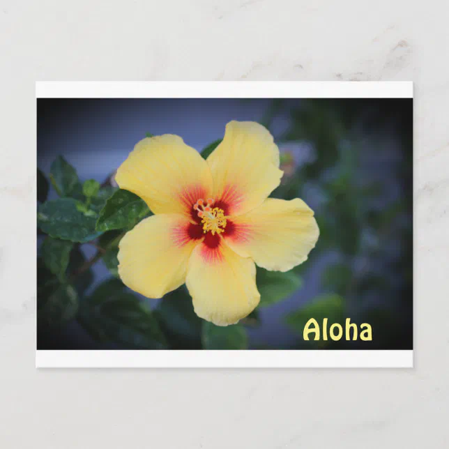 hawaii post card with the hawaii state flower. | Zazzle