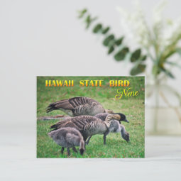 Hawaii State Bird - Nene or Hawaiian Goose Postcard | Zazzle