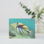 Hawaii State Fish - Humuhumunukunukuapua'a Postcard | Zazzle