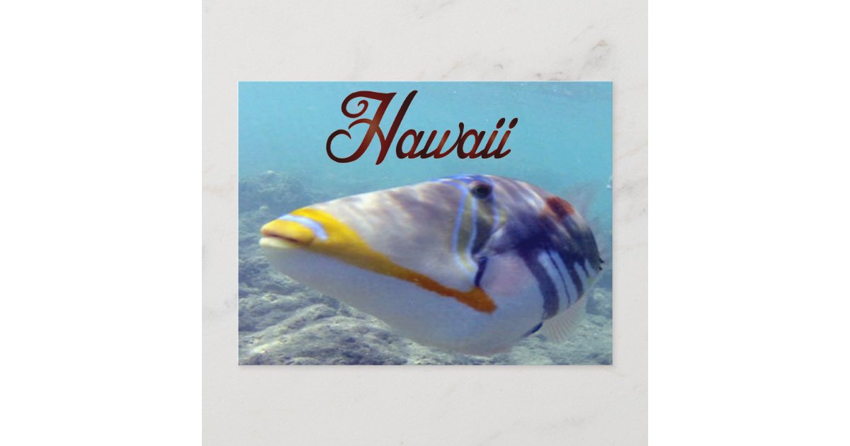 Hawaii State Fish - Humuhumunukunukuapua'a Postcard | Zazzle