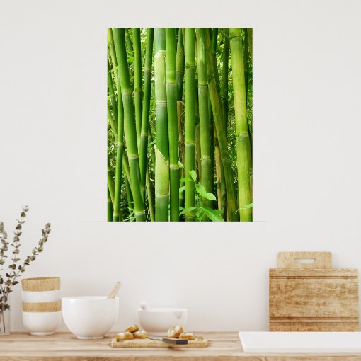 Hawaiian Bamboo Poster | Zazzle