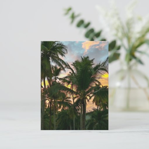 Hawaiian Exotic Beach Palm Trees Postcard | Zazzle