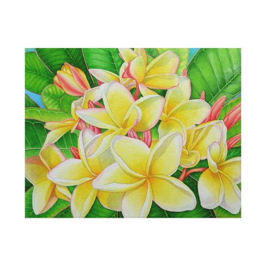 Hawaiian Frangipani Canvas Print | Zazzle.com