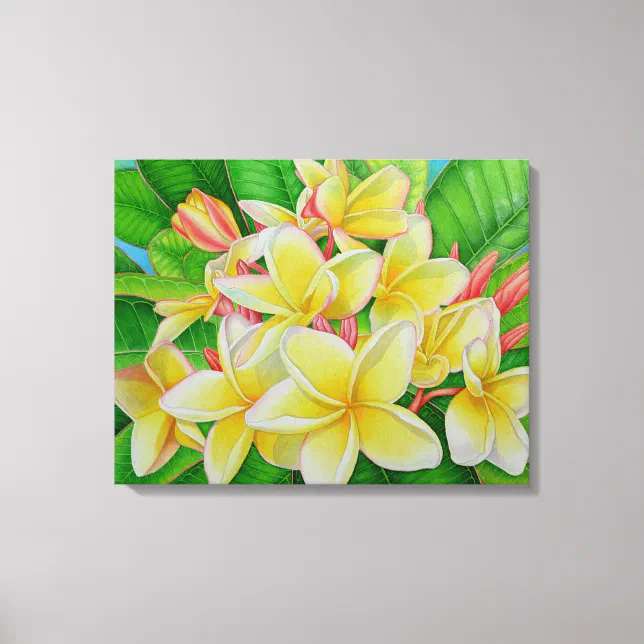 Hawaiian Frangipani Canvas Print | Zazzle