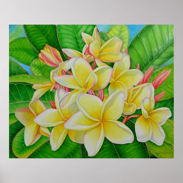 Hawaiian Frangipani Poster | Zazzle
