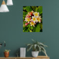 Hawaiian Frangipani Poster | Zazzle