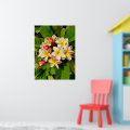 Hawaiian Frangipani Poster | Zazzle