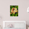 Hawaiian Frangipani Poster | Zazzle