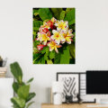 Hawaiian Frangipani Poster | Zazzle