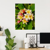 Hawaiian Frangipani Poster | Zazzle