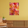 Hawaiian Frangipani Poster | Zazzle