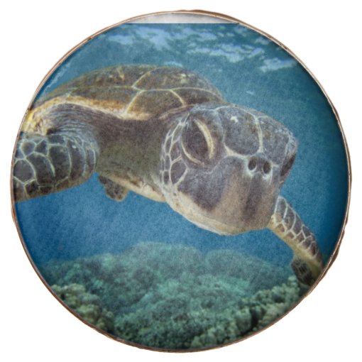 Hawaiian Green Sea Turtle Chocolate Covered Oreo | Zazzle
