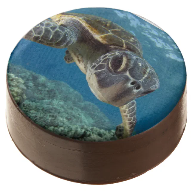 Hawaiian Green Sea Turtle Chocolate Covered Oreo | Zazzle