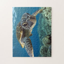 Hawaiian Green Sea Turtle Jigsaw Puzzle | Zazzle