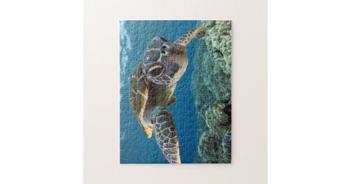 Hawaiian Green Sea Turtle Jigsaw Puzzle | Zazzle.com