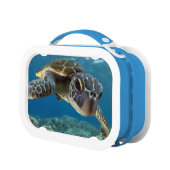 Hawaiian Green Sea Turtle Lunch Box | Zazzle