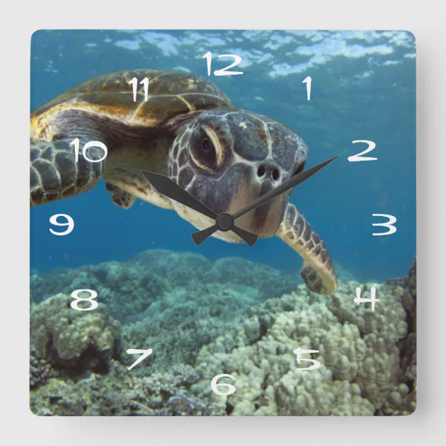 Hawaiian Green Sea Turtle Square Wall Clock | Zazzle