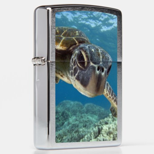Hawaiian Green Sea Turtle Zippo Lighter | Zazzle