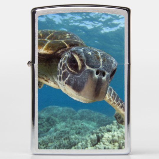 Hawaiian Green Sea Turtle Zippo Lighter | Zazzle.com