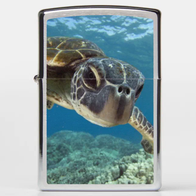Hawaiian Green Sea Turtle Zippo Lighter | Zazzle