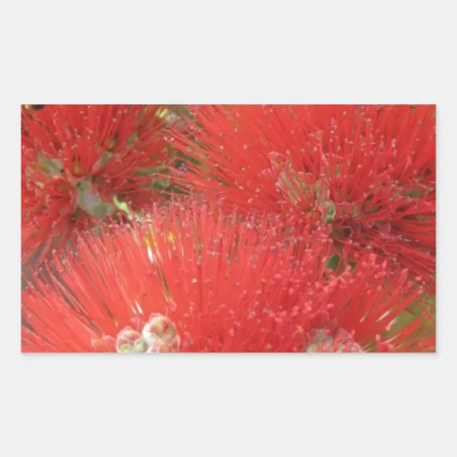 Hawaiian Native Ohia Lehua Flower Design Rectangular Sticker | Zazzle