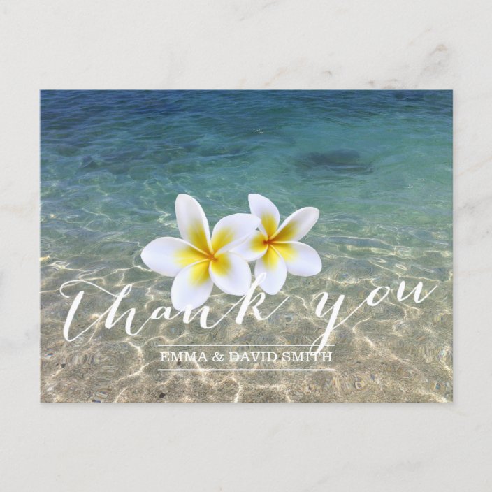 Hawaiian Plumeria Flowers Beach Wedding Thank You Postcard | Zazzle