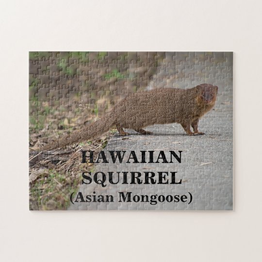 Hawaiian Squirrel (Asian Mongoose) Photo Puzzle | Zazzle.com