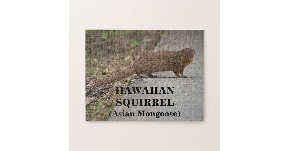 Hawaiian Squirrel (Asian Mongoose) Photo Puzzle | Zazzle