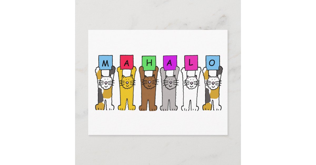Hawaiian Thanks Mahalo Cartoon Cats Postcard | Zazzle
