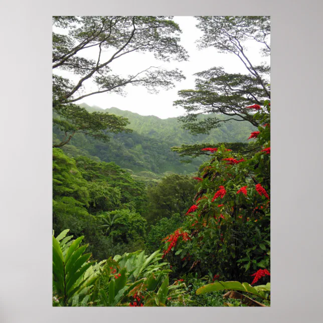 Hawaiian Tropical Rain Forest Poster | Zazzle
