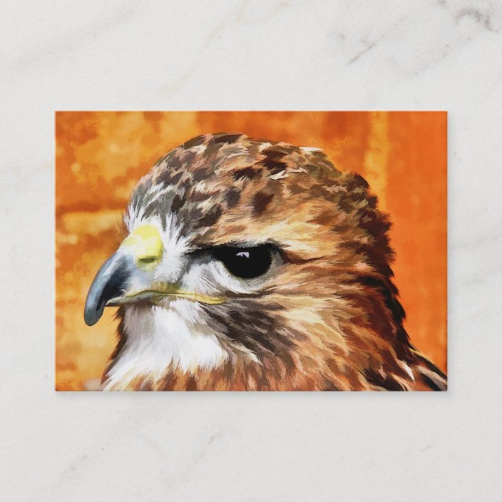 HAWK BUSINESS CARD | Zazzle.com