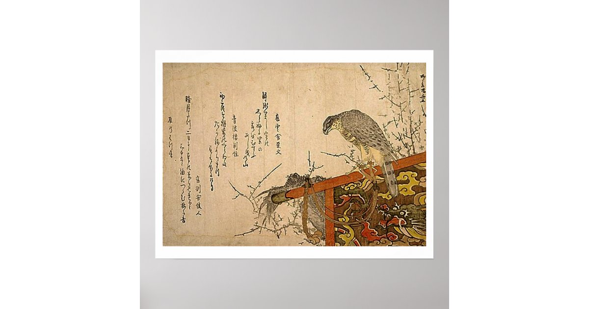 Hawk on Screen Perch Poster | Zazzle