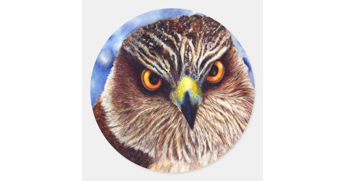 Hawk Stickers | Zazzle