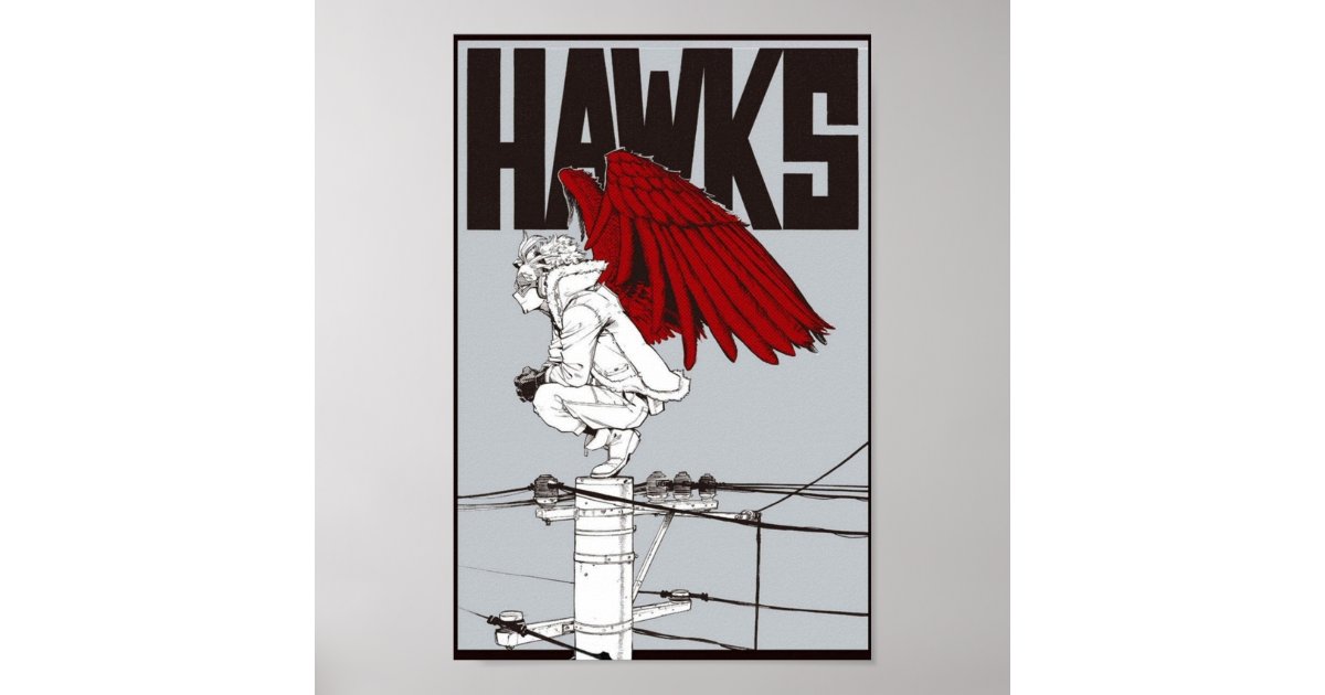 Hawks Poster | Zazzle