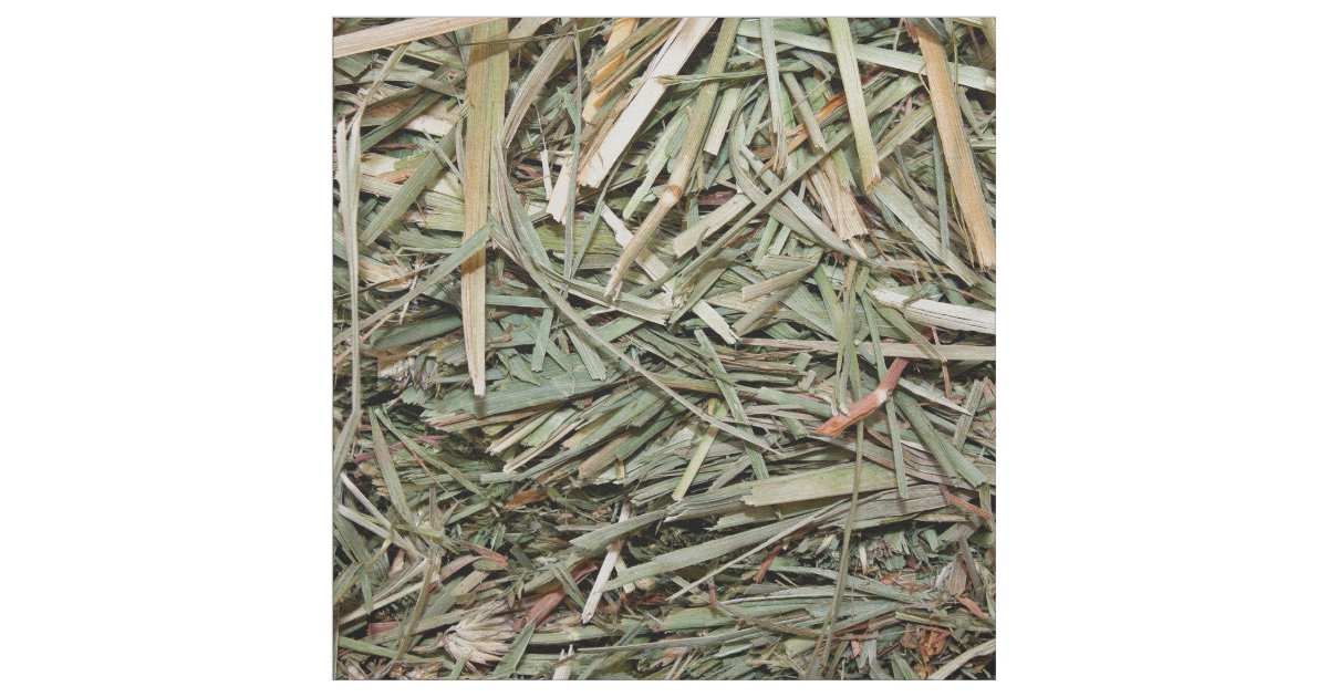 Hay And Grasses Fabric | Zazzle