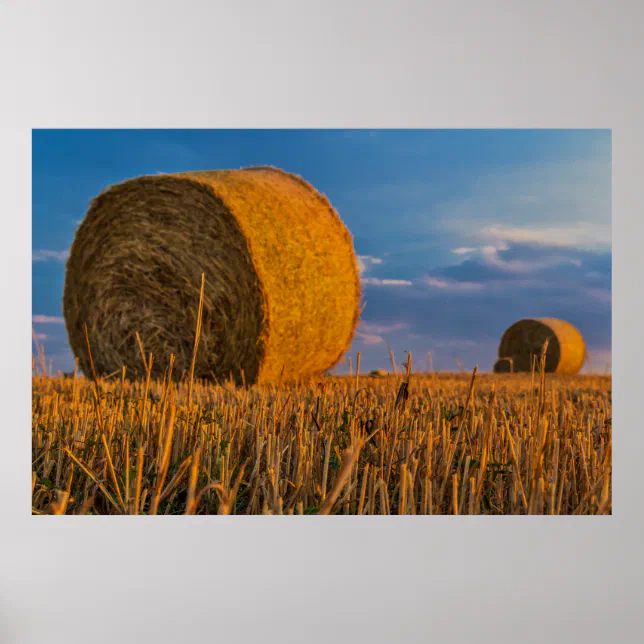 Hay bale poster | Zazzle