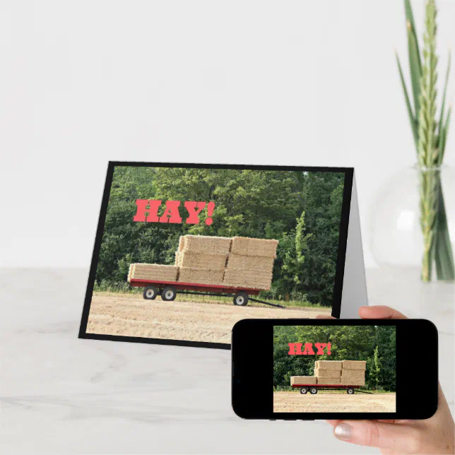 Hay! Happy Birthday Card | Zazzle