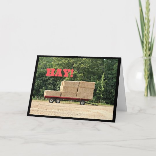 Hay! Happy Birthday Card | Zazzle.com
