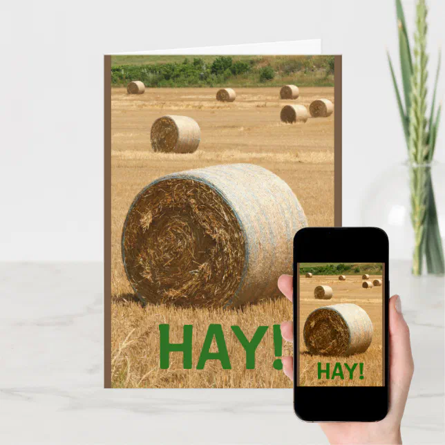 HAY! Happy Birthday Card | Zazzle