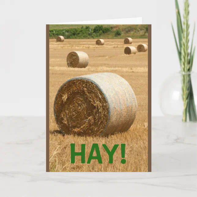 HAY! Happy Birthday Card | Zazzle