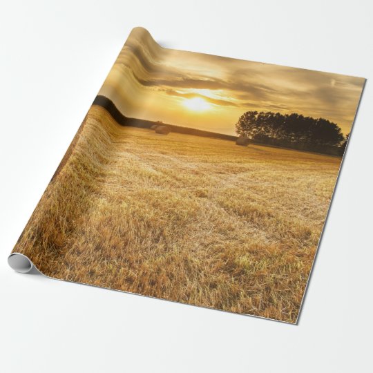 Hay Wrapping Paper | Zazzle.com