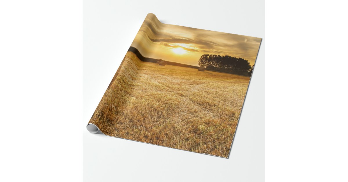 Hay Wrapping Paper | Zazzle