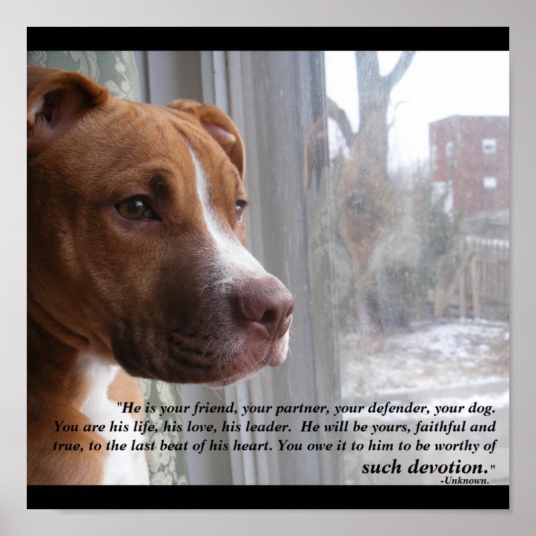 "He is your friend, your partner..." Poster | Zazzle