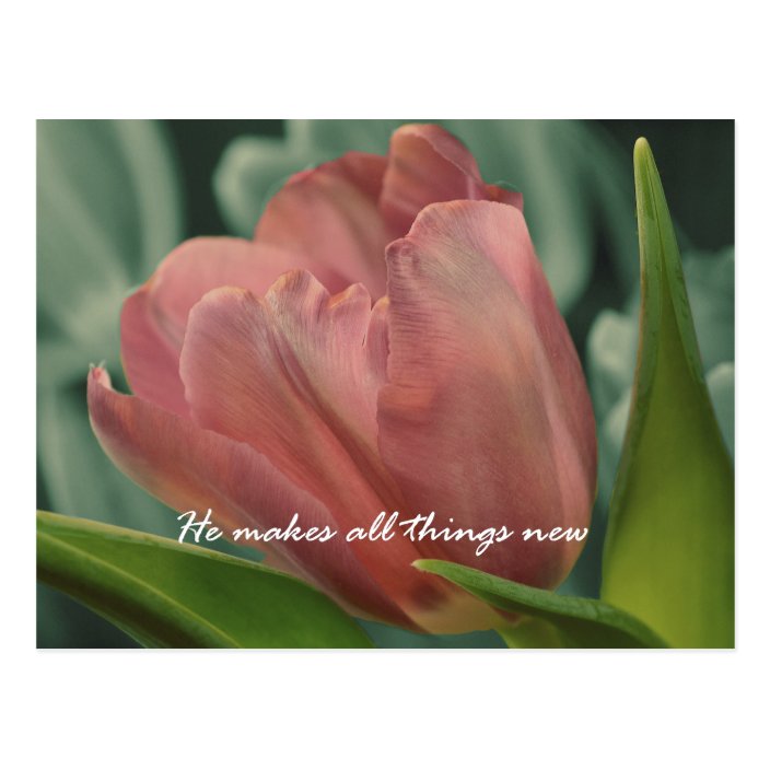 He Makes all Things New Bible Verse Postcard | Zazzle.com