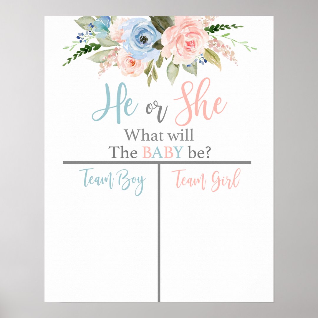 He or She Gender Reveal Poster | Zazzle