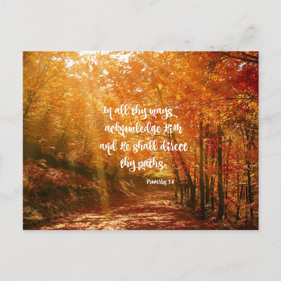 He Will Direct Your Path Bible Verse Postcard | Zazzle