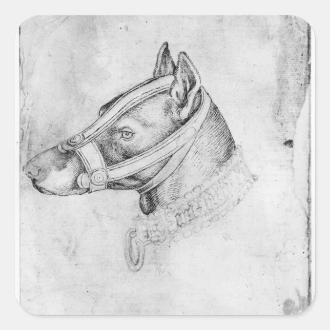 Head of a muzzled dog square sticker | Zazzle
