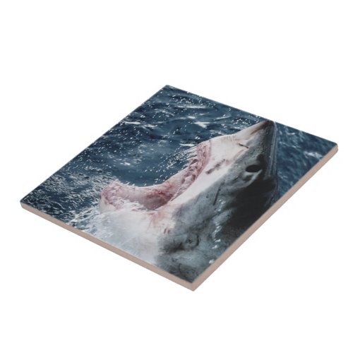 Head of Great White Shark Tile | Zazzle
