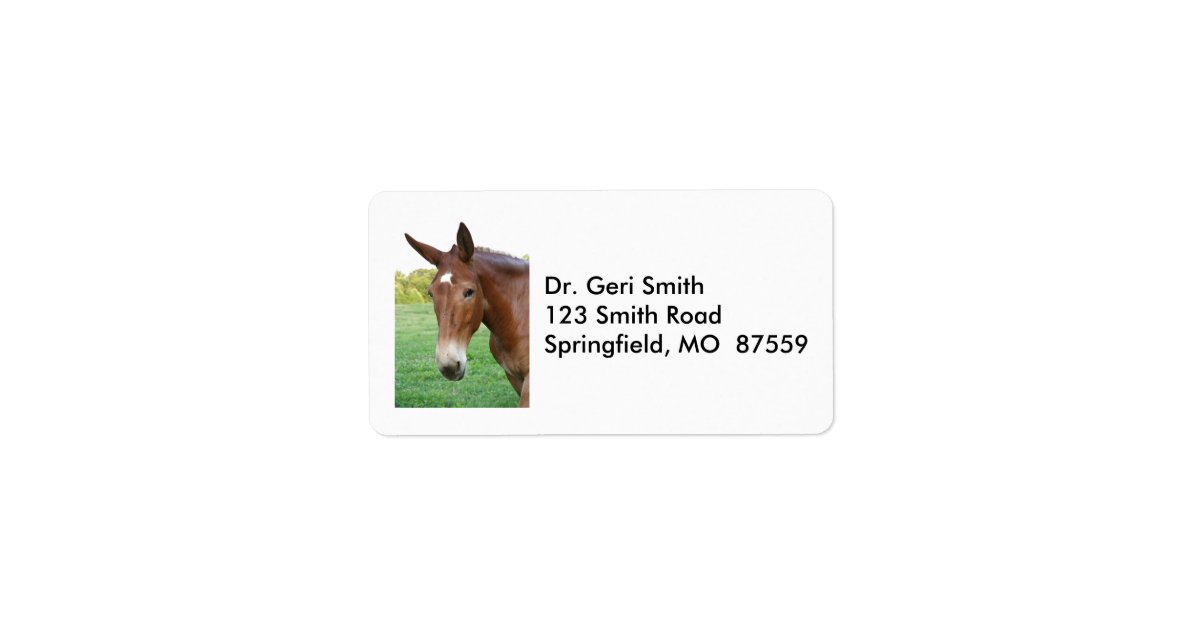 Headshot of a Rather Refined Mule Label | Zazzle